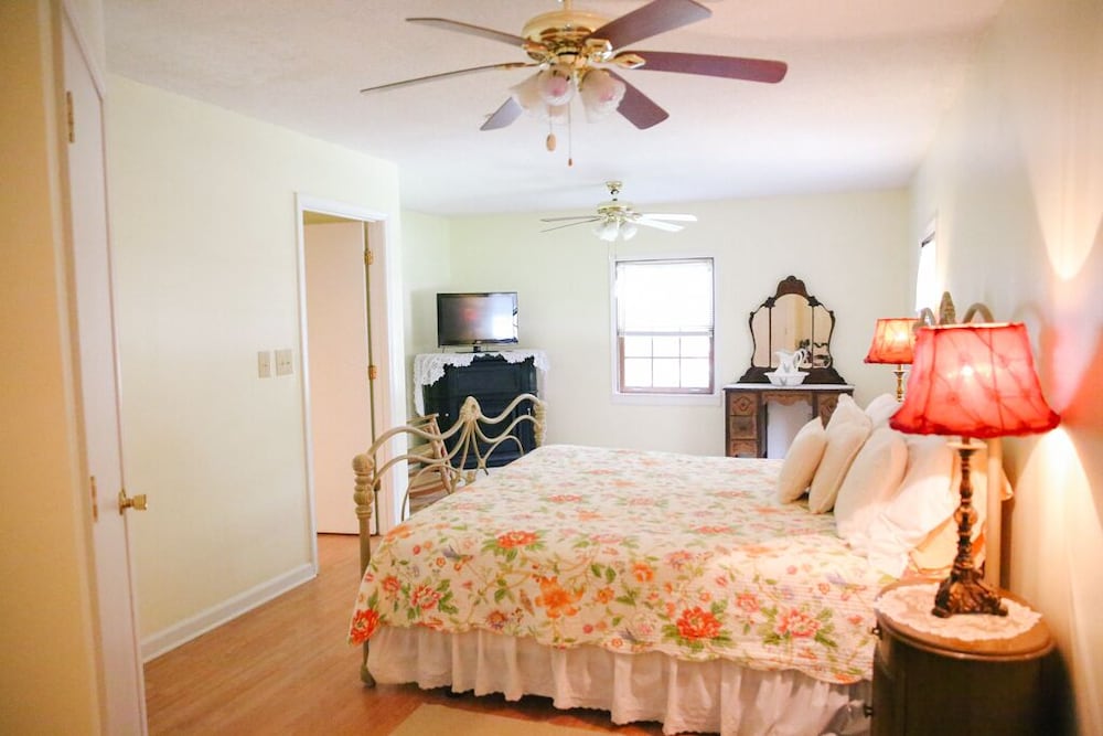 FARM ANIMALS: RESCUES, Mini HORSES and mini DONKEYs; Reviews, Deals ...