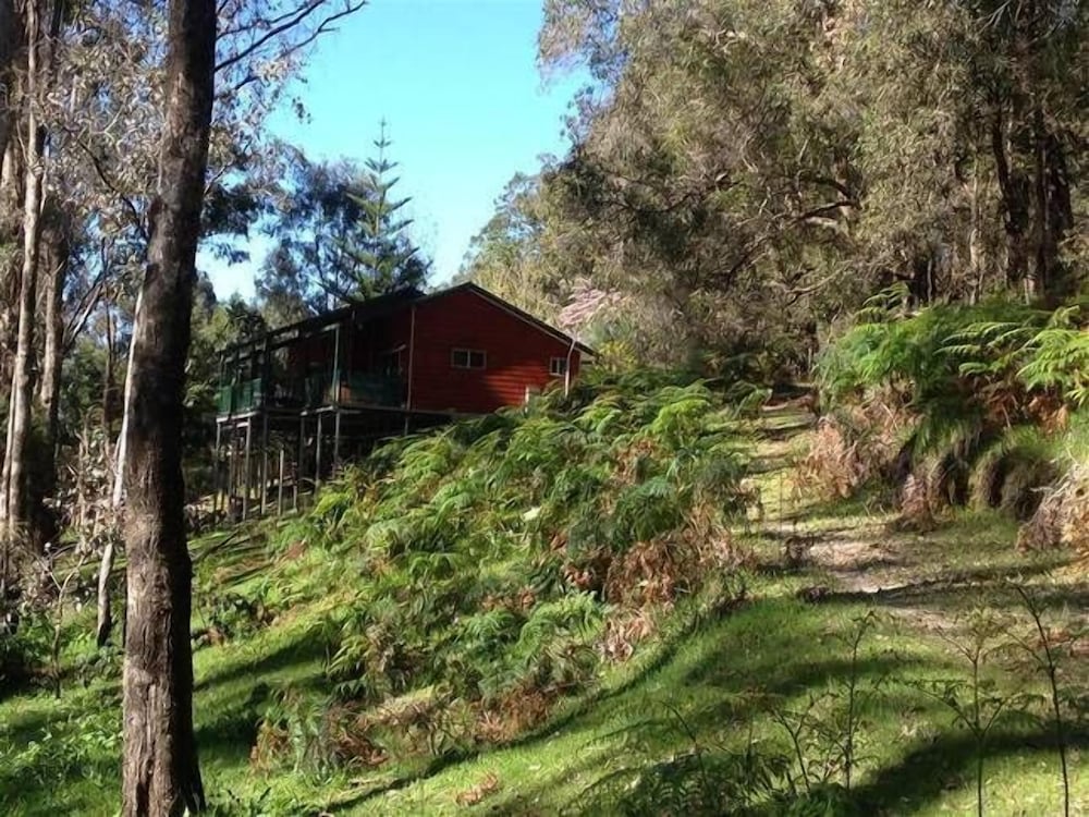 Koala Cottage at Fern Gulley Retreat, Australia | Australian Accommodation