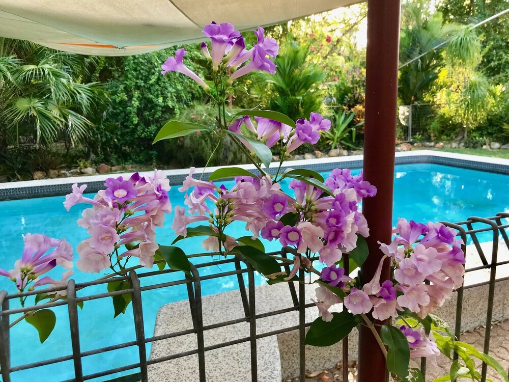 Spring Homestead; a tropical oasis. Reviews, Deals & Photos 2025 - Stayz