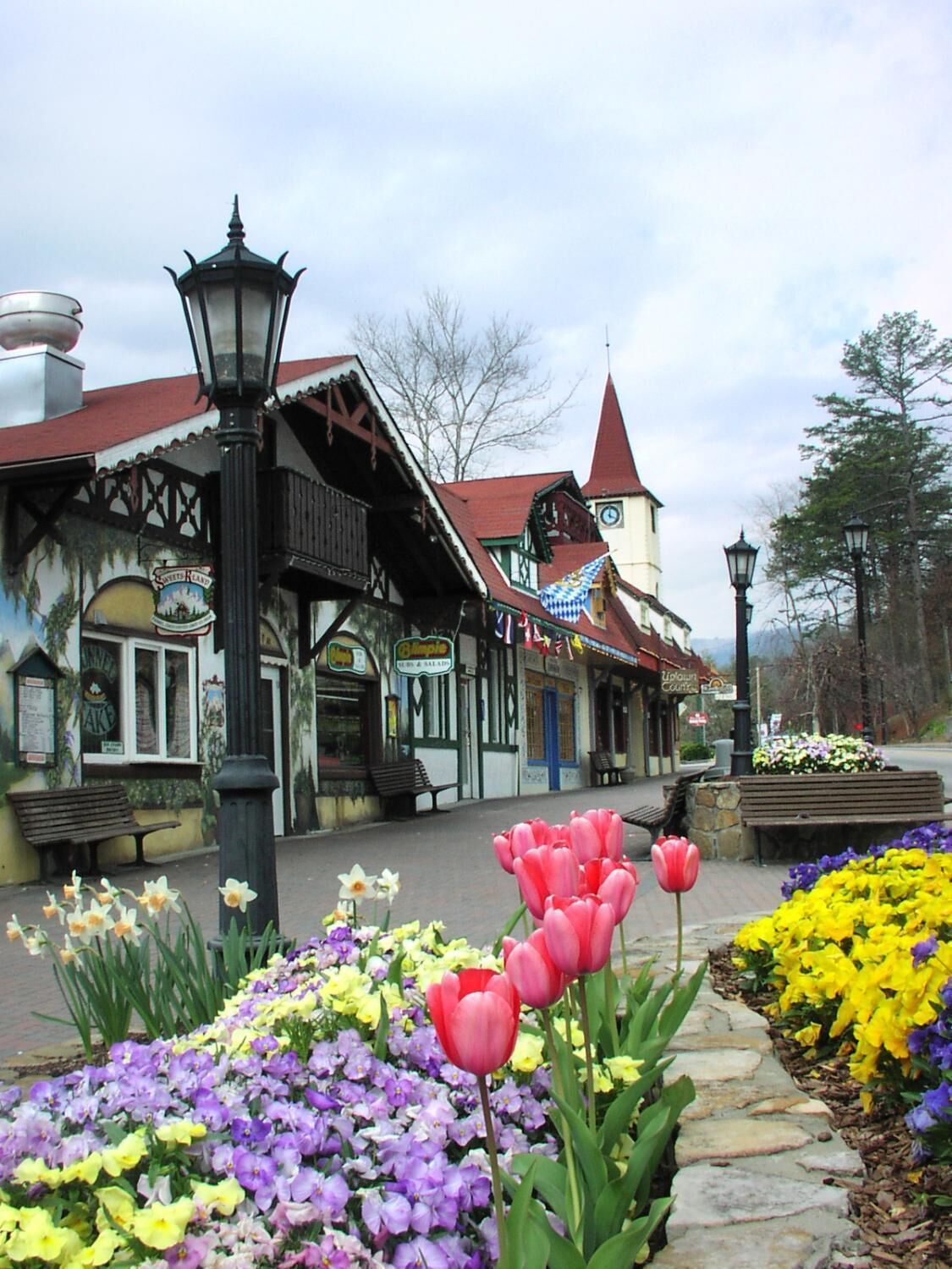 Fairfield Inn & Suites by Marriott Helen in Helen, GA | Expedia