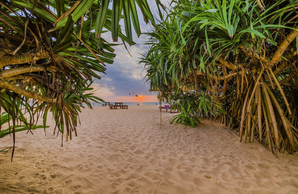 Jungle Beach Camp Ahungalla - Deluxe Glamping Bungalow in Ahungalla ...