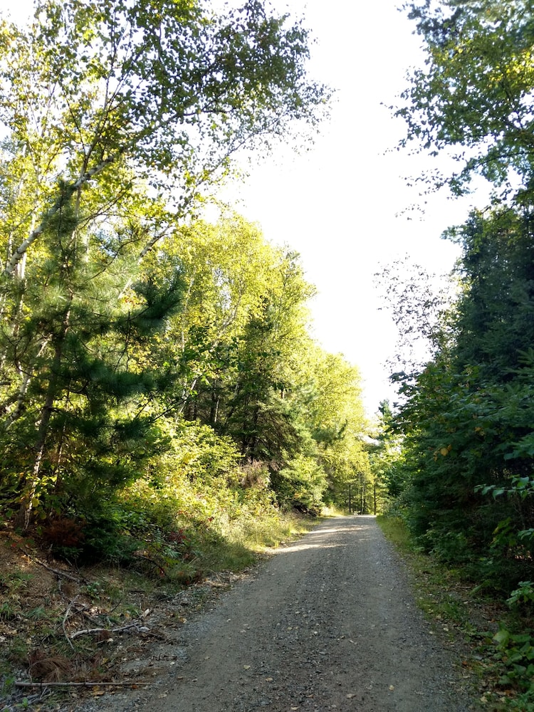 Moose Cabin at Wilderness Wind near Armstrong Lake near Ely, MN in Ely ...