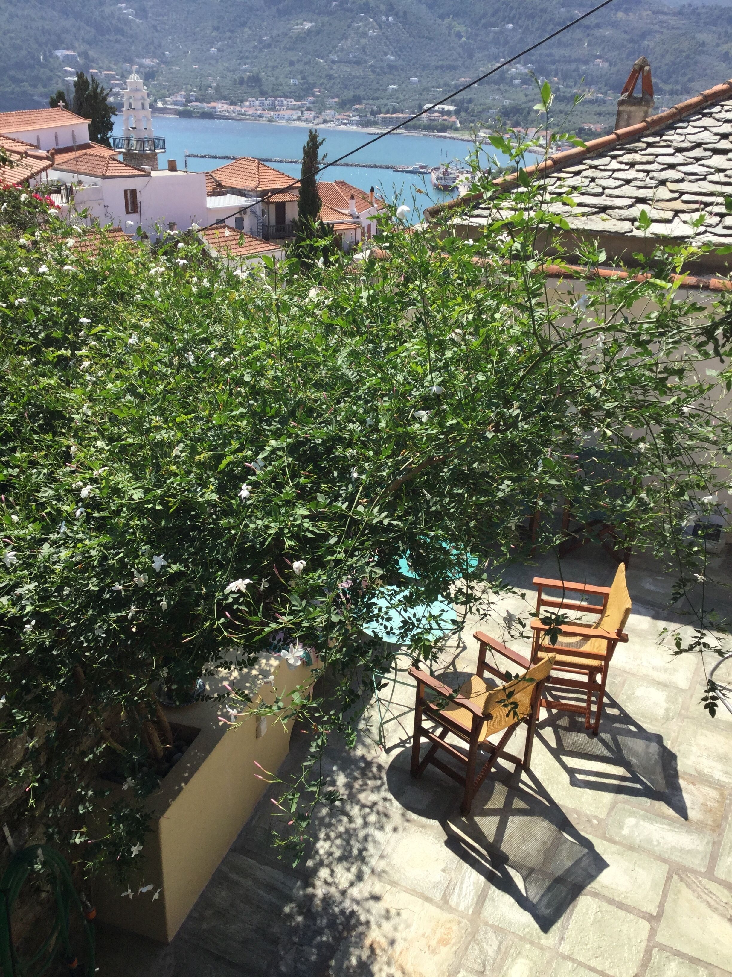 Agapi Kyria Florence artistic, spacious, tasteful, luxcurious, quiet ...