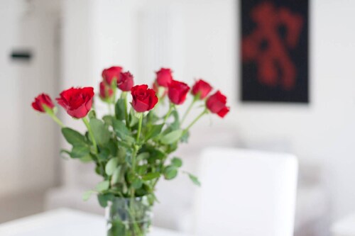 ♥ La Luna Charming Apartment ♥ - 佛羅倫斯