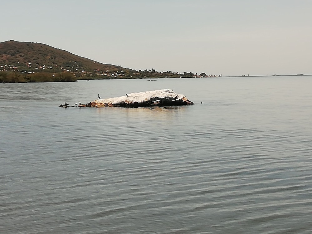 Room Deals for White Stone Beach Resort, Rusinga Island starting at ...