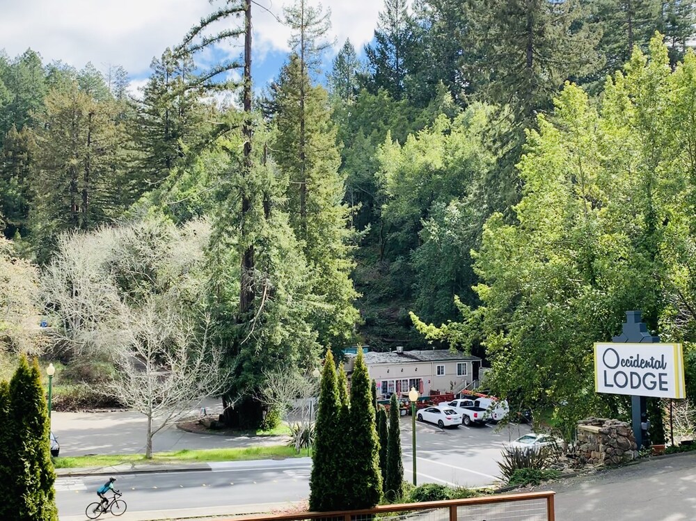 The Occidental Lodge in Occidental | Cheap Hotel Deals & Rates on ...