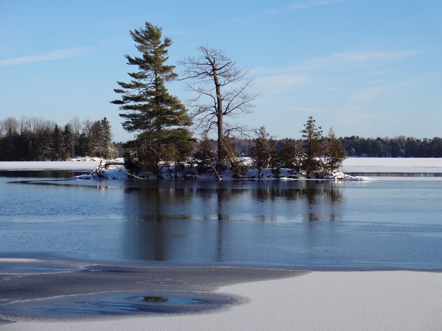 Fishing/family Cabin on Beautiful Lake Opinicon: 2020 Pictures, Reviews ...