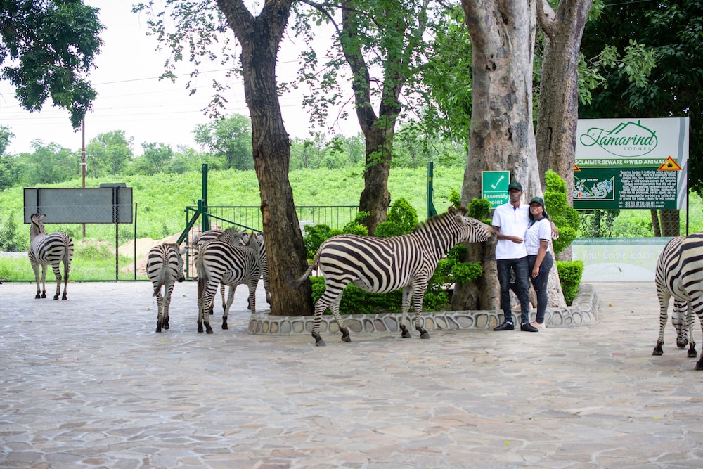 Tamarind Holiday and conference Resort , Kariba: Room Prices & Reviews ...