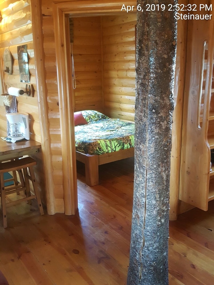Beautiful Log Cabin ~ "The Drake" ~ On 182 Acres ~ Natural Paradise ...
