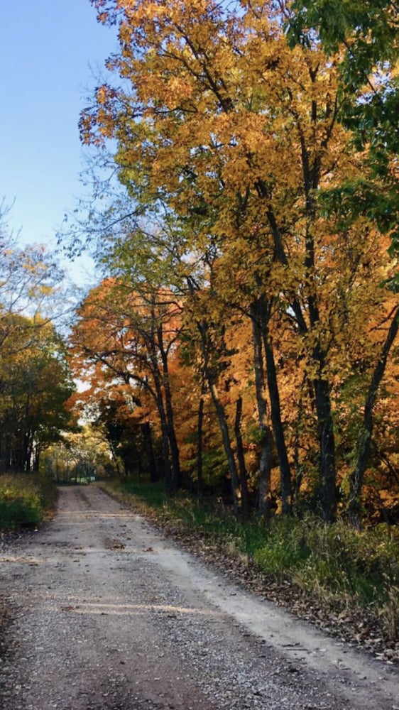 Campsite in the Beautiful Missouri Countryside, Wooldridge: Room Prices ...