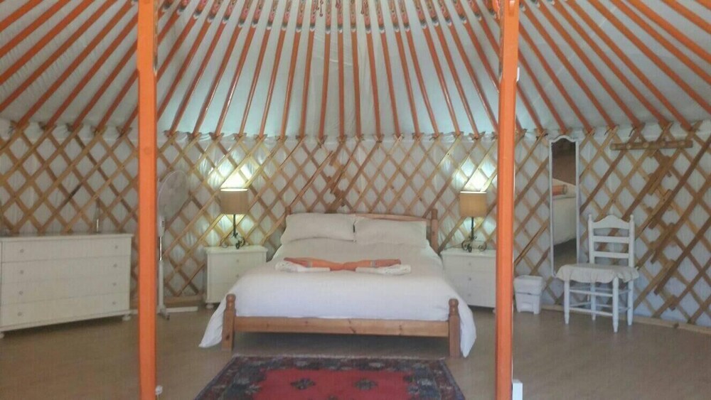 Unique Mongolian Yurt , romantic, secluded with private pool, sleeps 5 ...