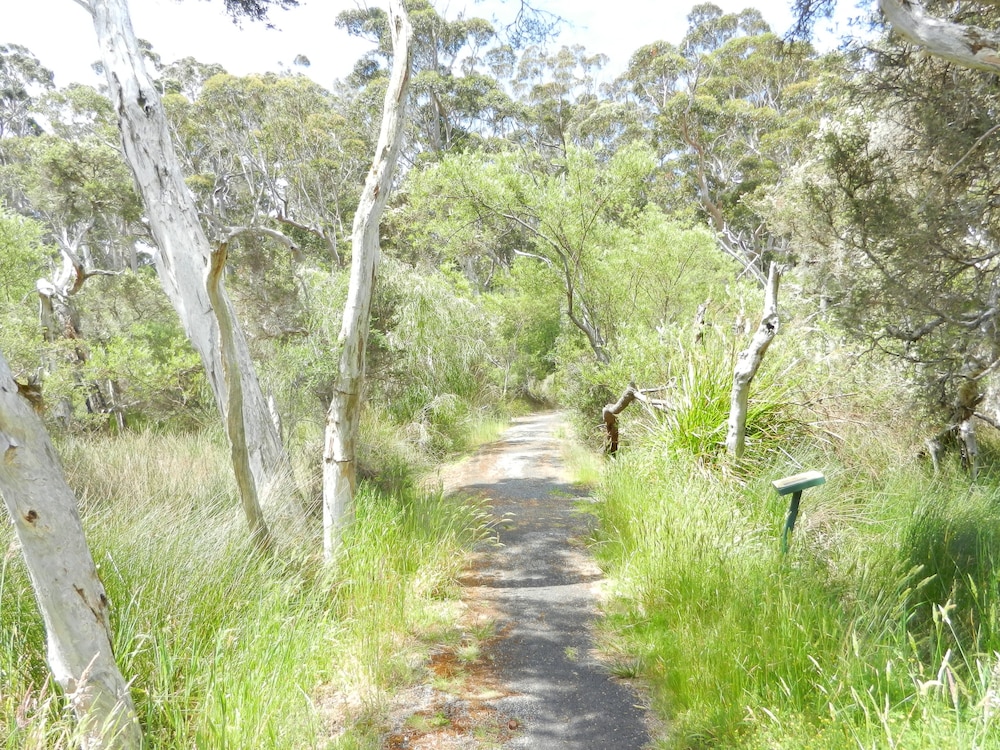 Walpole Rest Point Caravan Park, Australia | Australian Accommodation