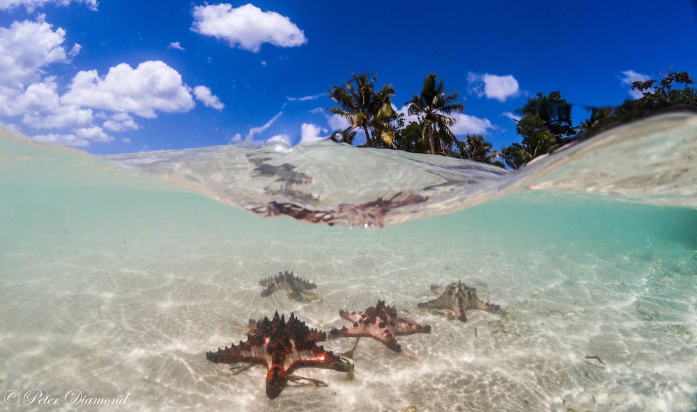 Erakor Island Resort & Spa in Port Vila | Best Rates & Deals on Orbitz