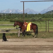Turpin Meadow Ranch in Jackson Hole, WY | Expedia