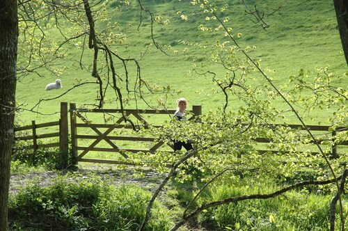 Vine Cottage - Come And Stay At Calancombe Estate - Ivybridge