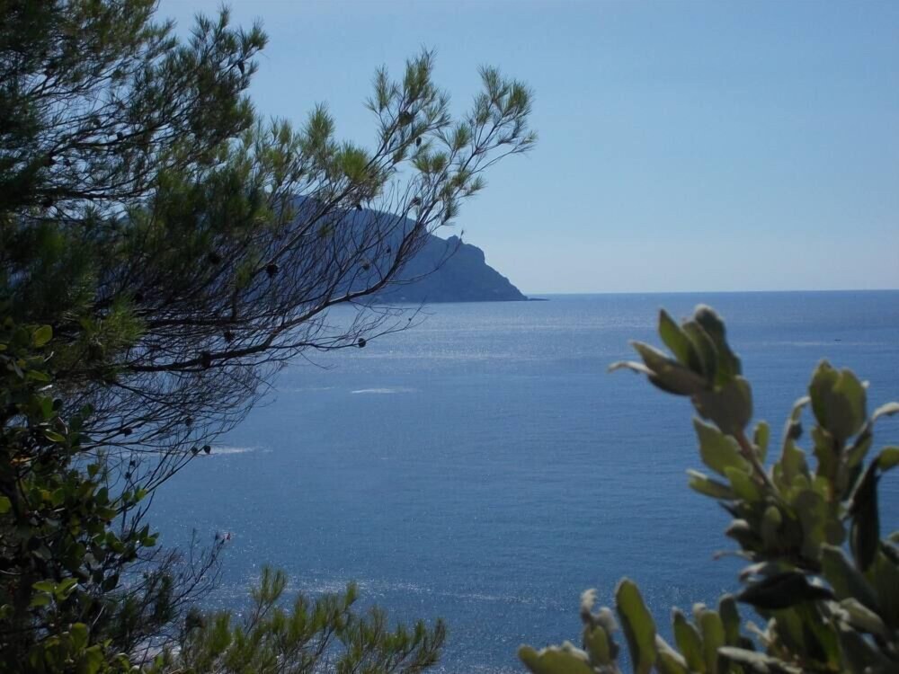 Sori: Apartment/ flat - Sori in Historical Borgo of Fischerman - Sori ...