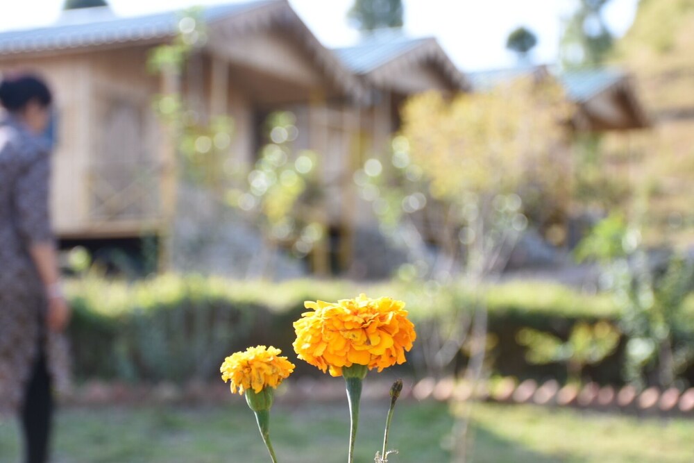 A Perfect Hideaway by the Mountains called BSR Farms- HomeStay. Reviews ...