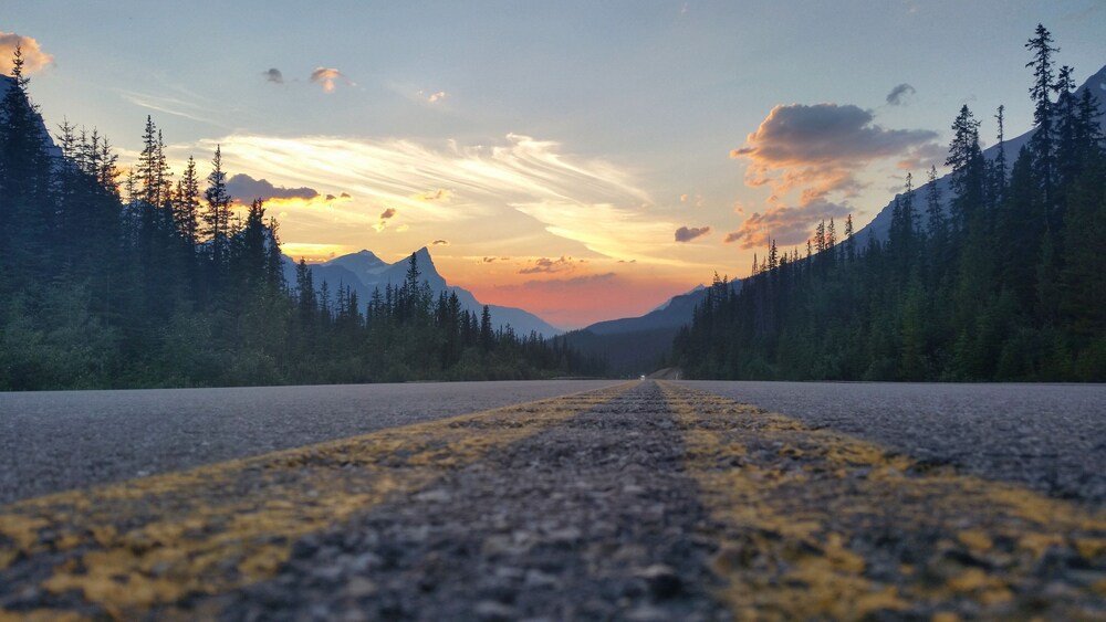 Homesteader Cabin at Coliseum Mountain Resort: Deals & Reviews (Nordegg ...