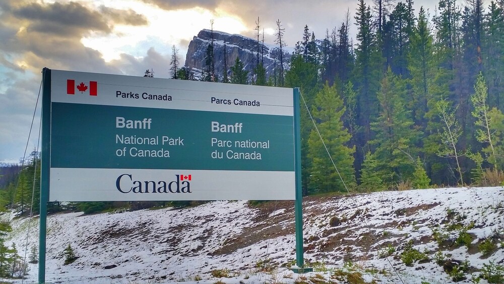 Homesteader Cabin at Coliseum Mountain Resort: Deals & Reviews (Nordegg ...