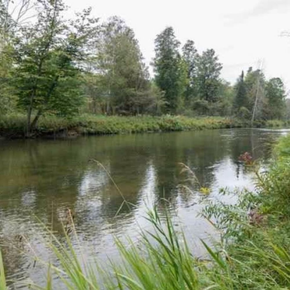 Beautiful home on Rifle River! Enjoy kayaking, outdoor fire, wildlife ...