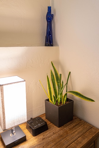 Private Space Close To The Heart Of Ocean Beach - サンディエゴ