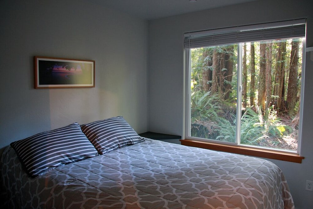 Secluded Cabin in Redwood Forest - Del Norte County | Vrbo
