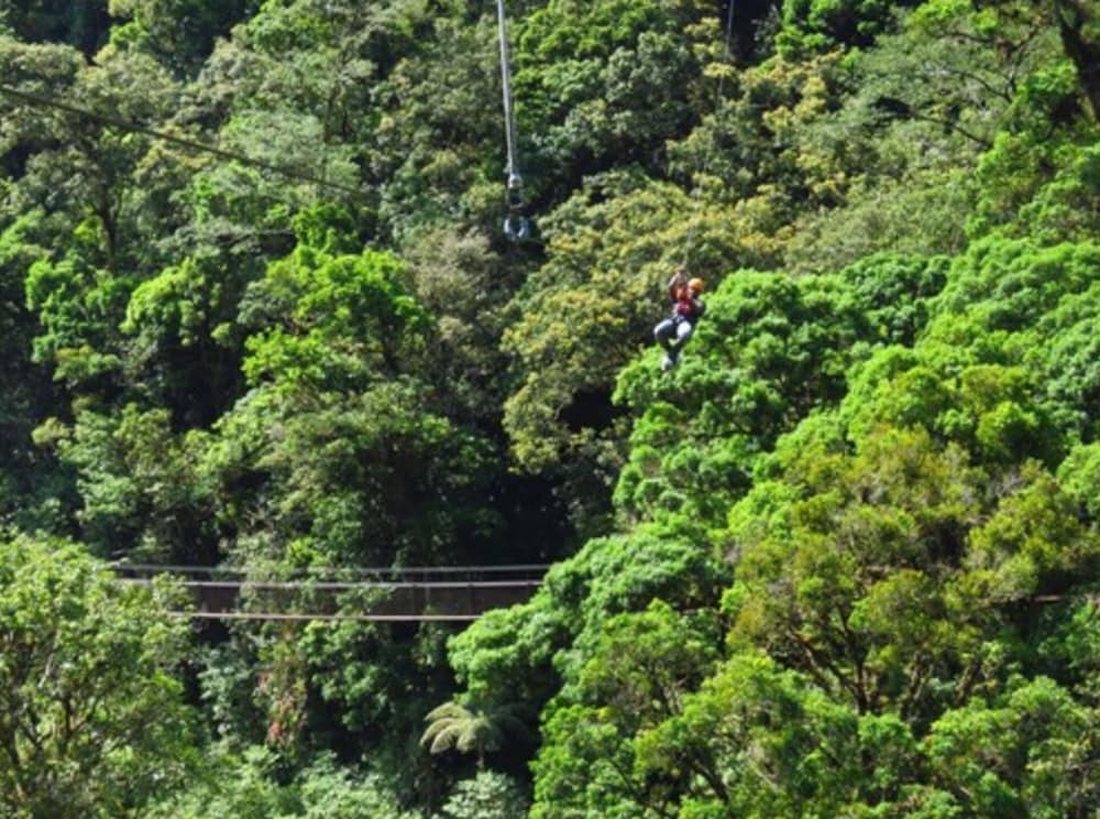 Tree Trek Boquete Adventure Park in Boquete | Best Rates & Deals on Orbitz