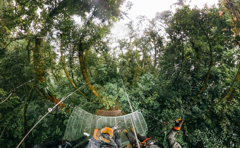 Tree Trek Boquete Adventure Park Deals & Reviews (Boquete, PAN) | Wotif