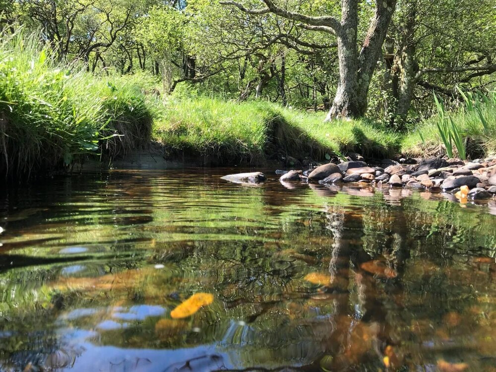 Gardens Cottage on Ellary Estate, Gate Leading Straight on to the Beach ...