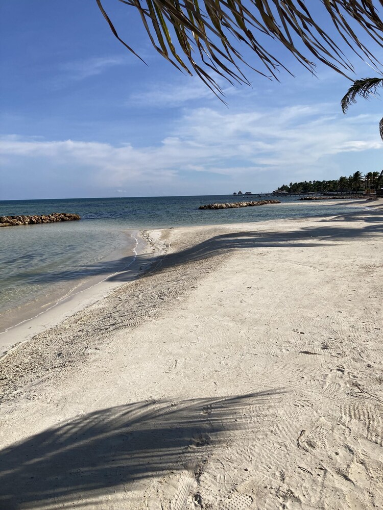 Alaia Belize, Autograph Collection in San Pedro | Best Rates & Deals on ...