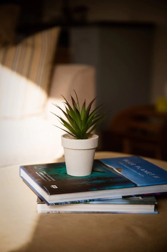 Modern Light Selfcontained Garden Rooms (Ev) - Galway