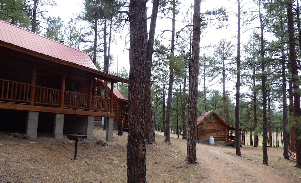 Circle Pine Ranch- "The Real Log Cabin Experience", Alpine: Room Prices ...