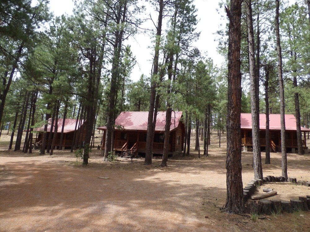 Circle Pine Ranch- "The Real Log Cabin Experience", Alpine: Room Prices ...