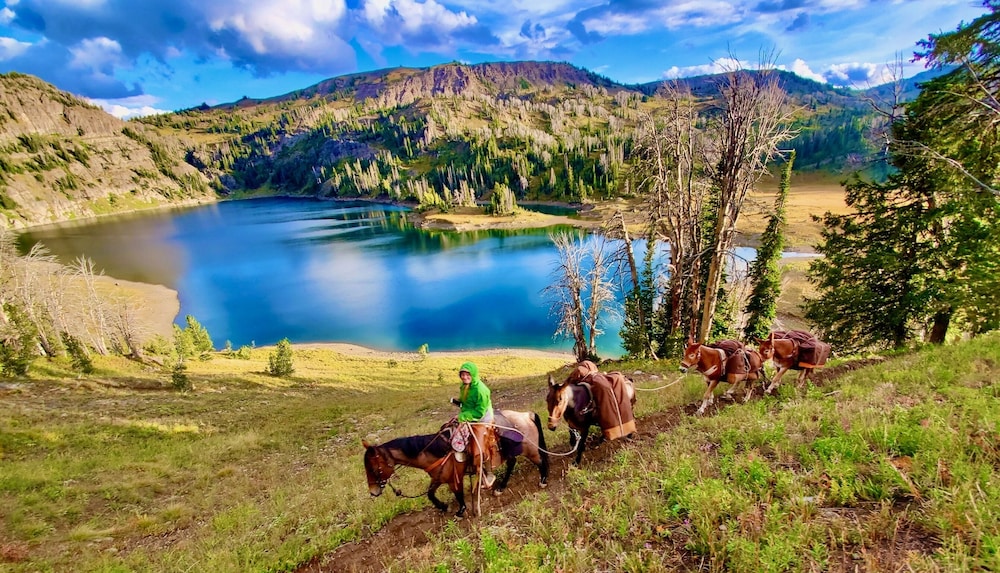 Heart 6 Ranch in Moran | Best Rates & Deals on Orbitz