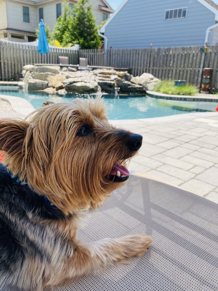 Ocean Block Oasis Reviews, Deals & Photos 2026 - Stayz