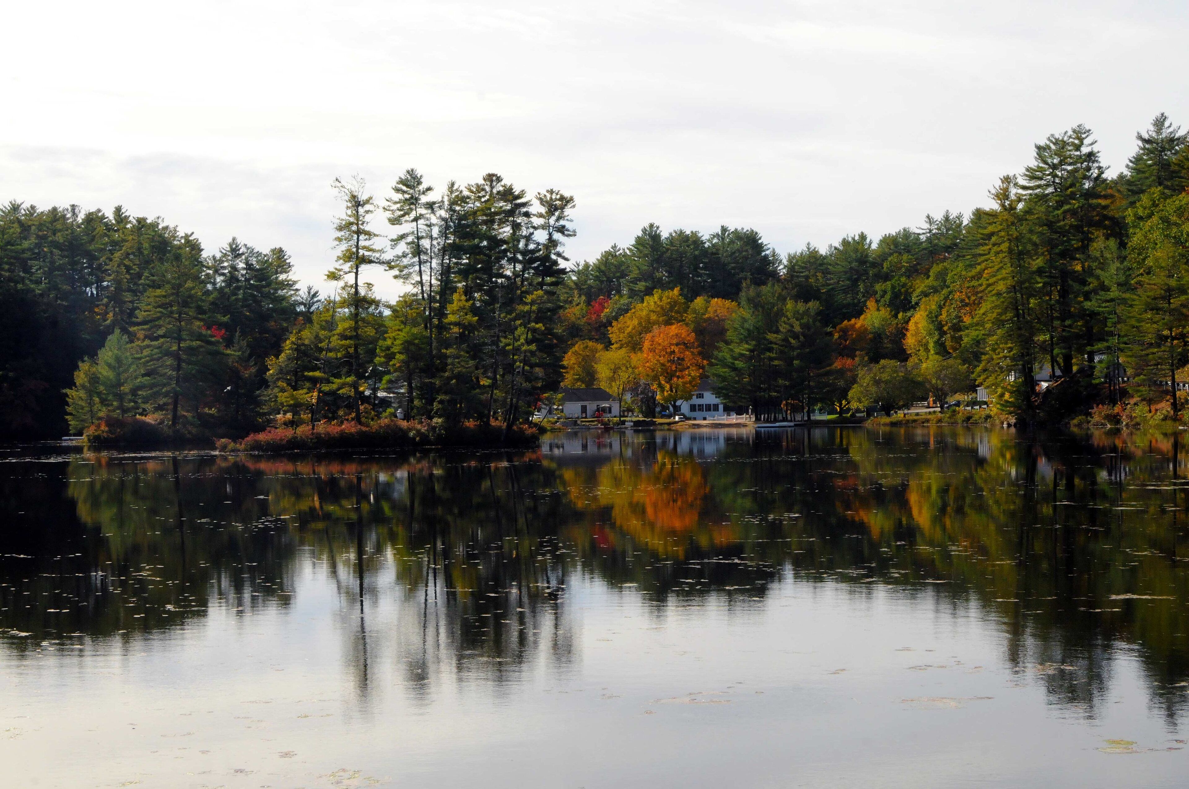 Cold Spring Resort in Ashland, NH | Expedia