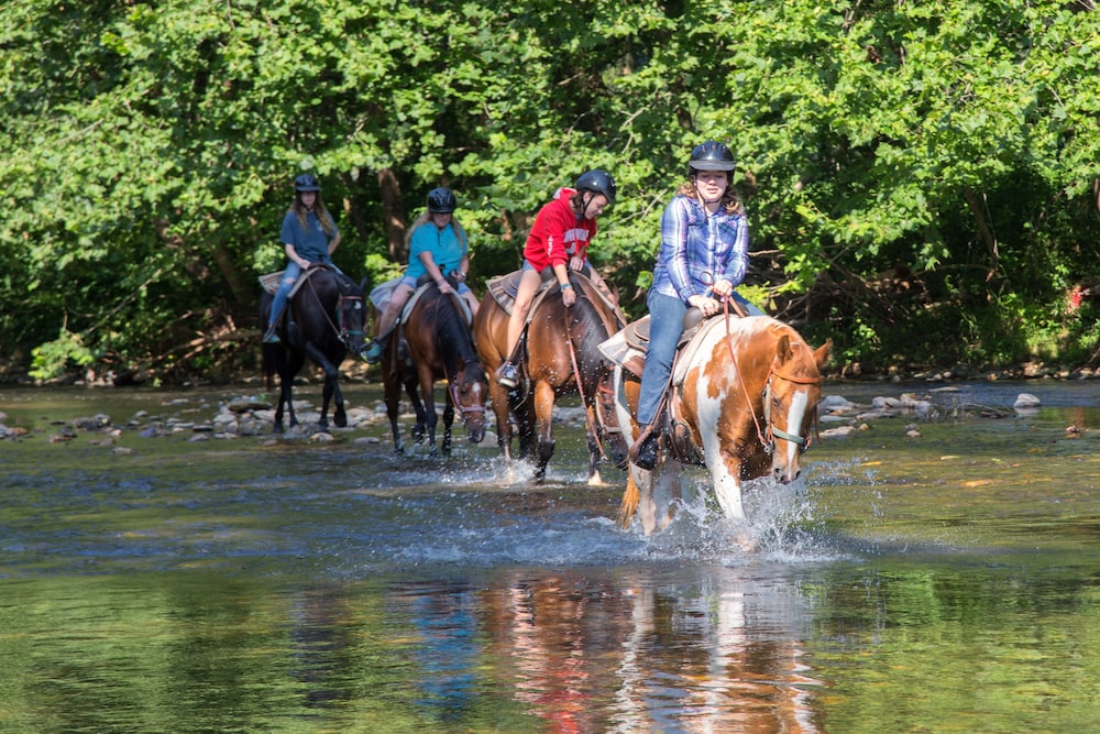 Springmaid Mountain in Spruce Pine | Best Rates & Deals on Orbitz