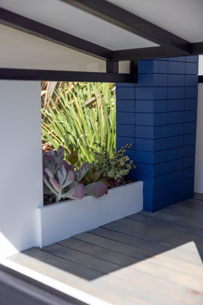 BOOKED - Calling all dog lovers who dig a high-design holiday dwelling ...