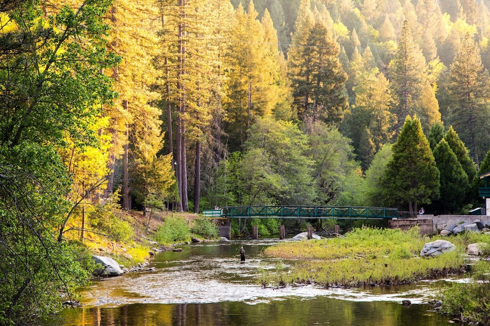 Yosemite Lakes RV Resort, Groveland: Room Prices & Reviews | Travelocity