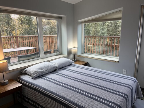 Northern Lights Views! A New Pet-friendly House Close To Town, Close To Trails. - Alaska