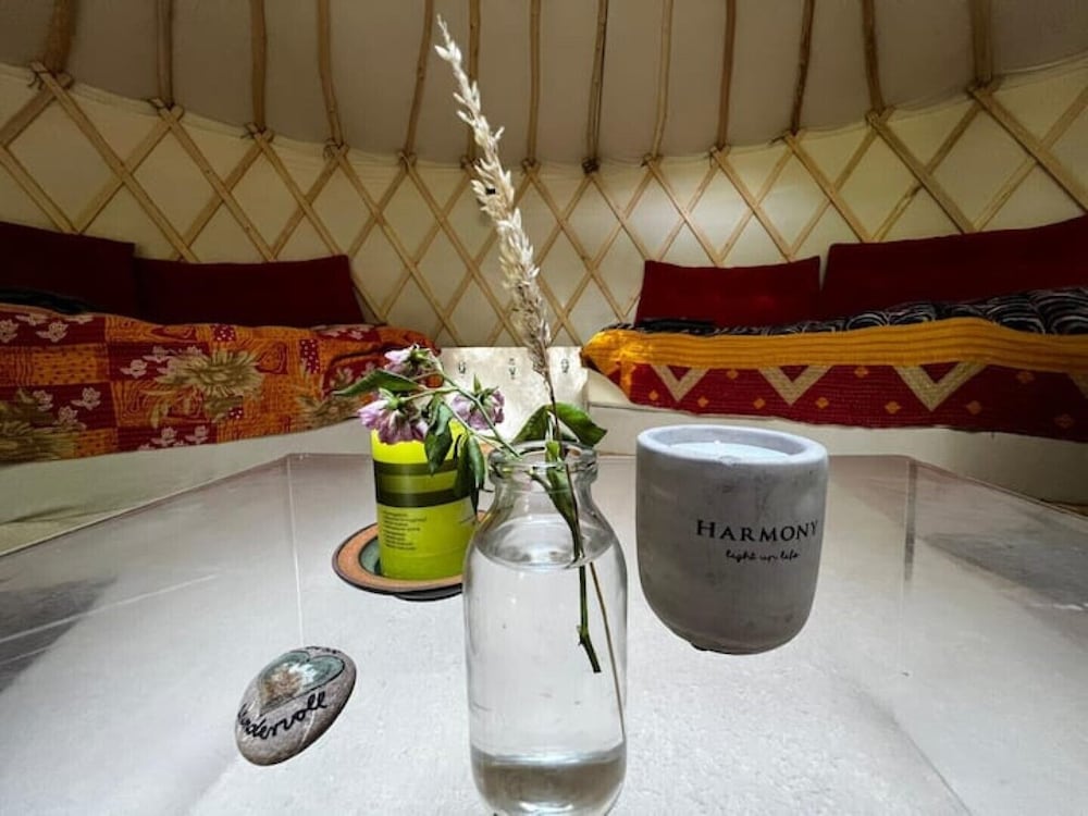 Magical yurt - in the middle of nature Reviews, Deals & Photos 2026 - Vrbo