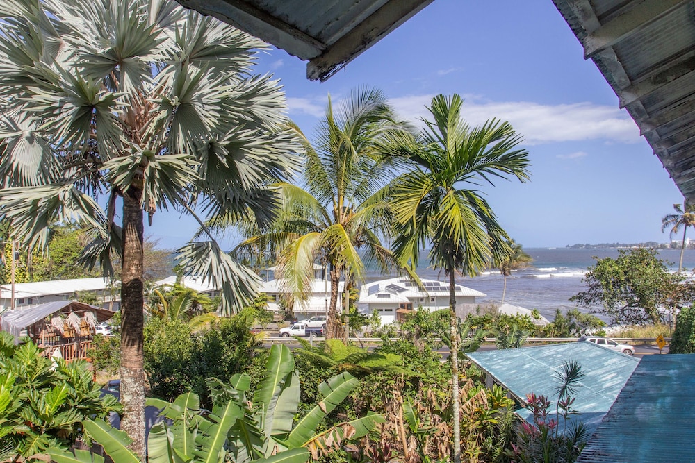 Wild Ginger Hotel Deals & Reviews (Hilo, USA) | Wotif