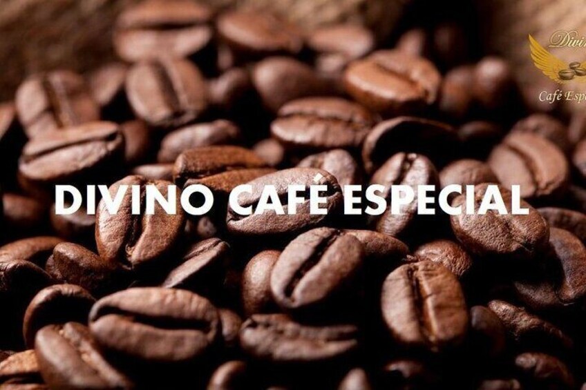 Coffee Tasting Experience at Divino Café Especial