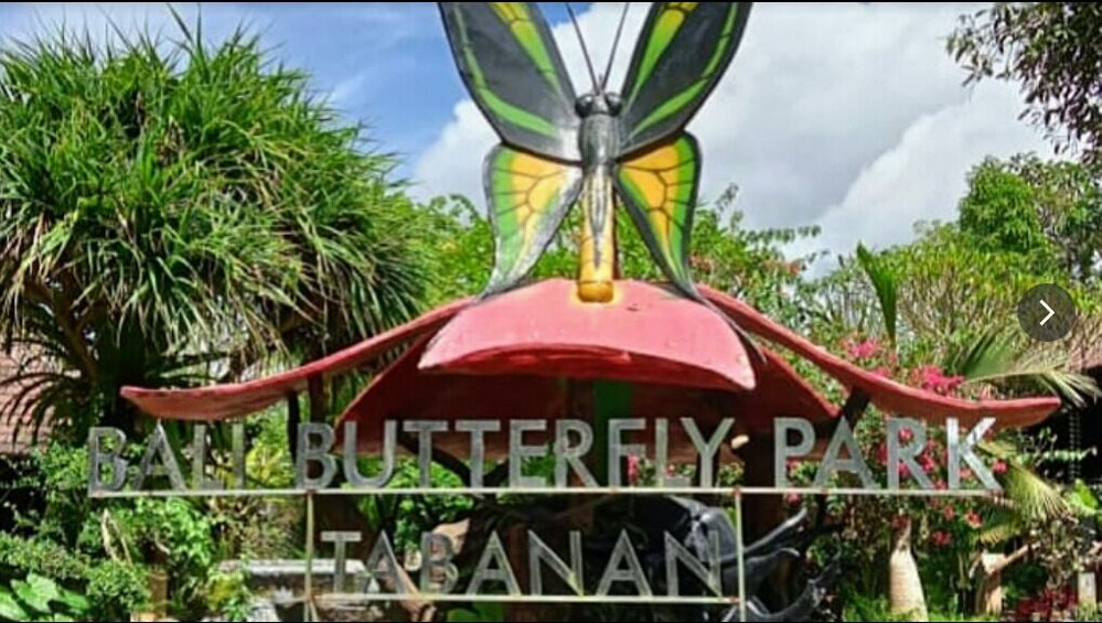 Bali Butterfly Park Tabanan