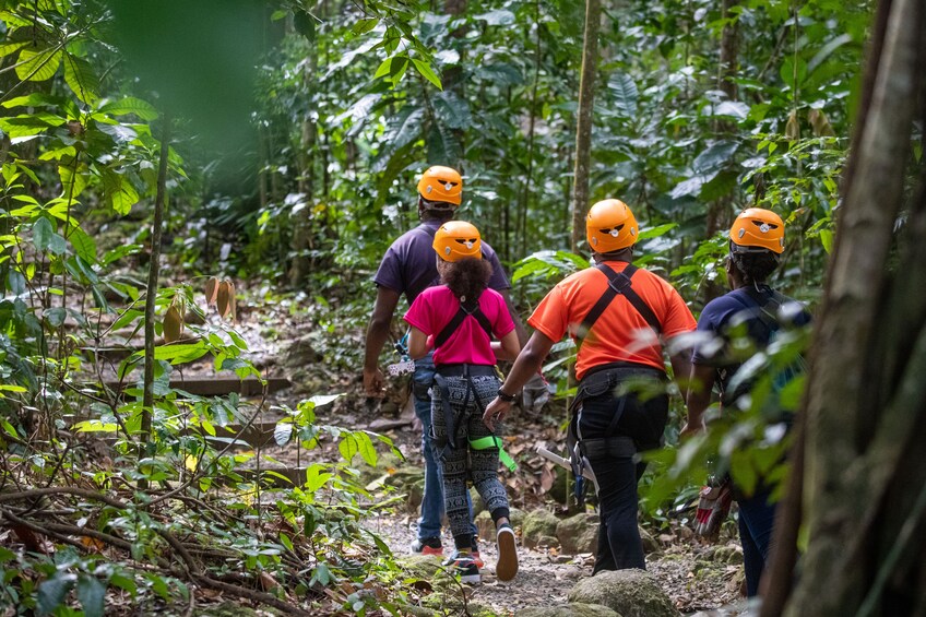 Rainforest Adventures St Lucia Aerial Tram and Zipline Tour
