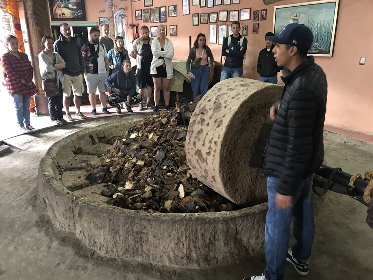 Mitla Archaeological Marvels, Ancient Trees, Weaving and Mezcal Delight