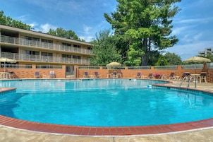 Piscina exterior sazonal 