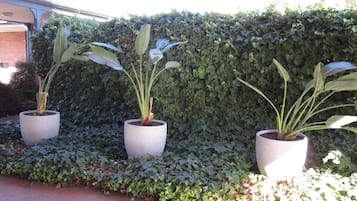 Jardim