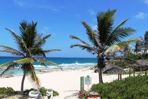 Uma praia com palmeiras, uma placa e uma construção de telhado de palha.