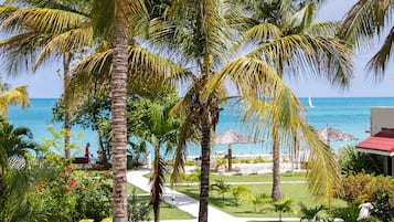 Vista da propriedade